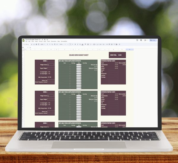 Equine Budget Sheet – When It Clicks